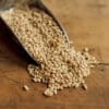 Organic Hulless Whole Barley - Peace Country Milling & Grains